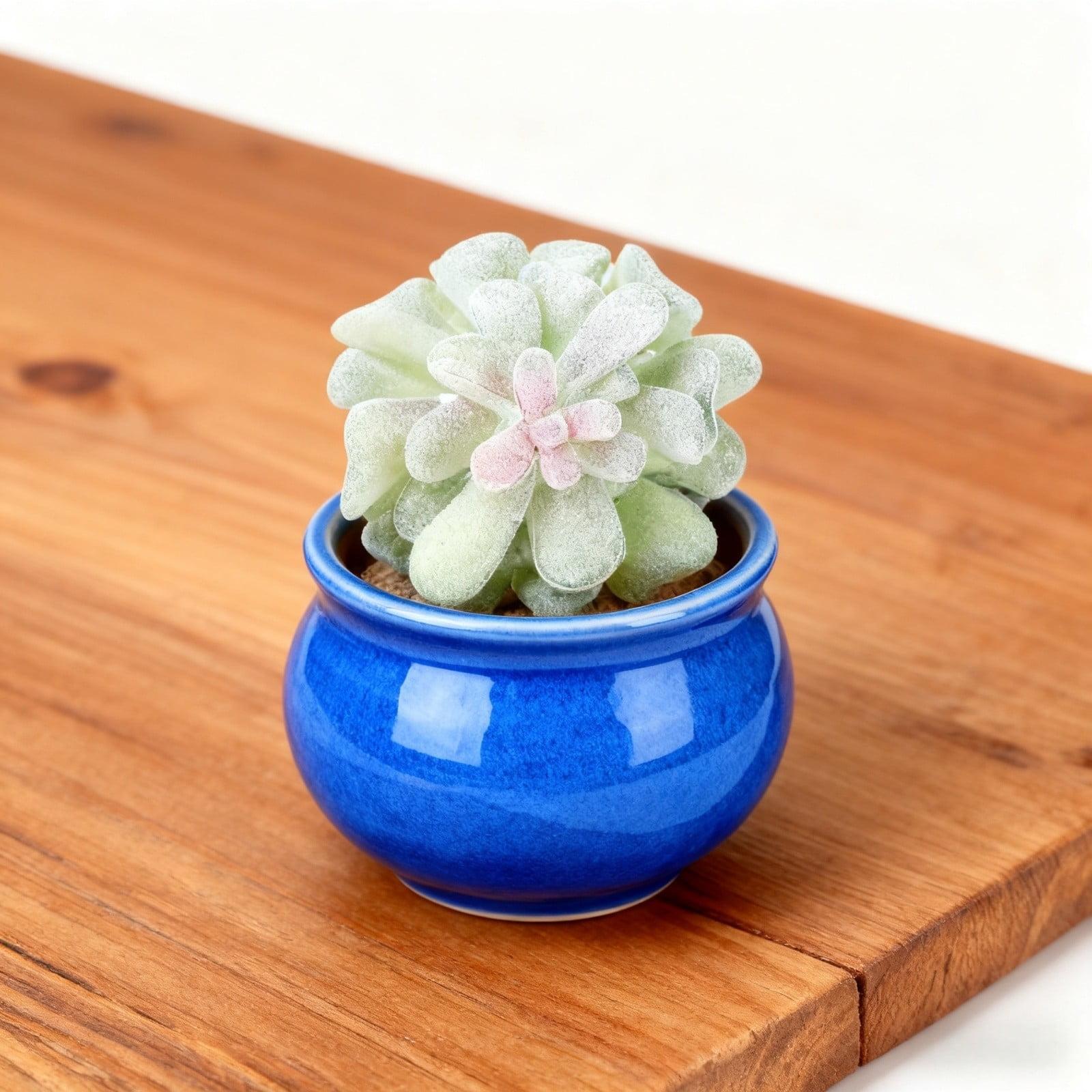 Click here for Vivavault Lifelike Succulent In Modern Planter For... prices