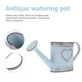 BRIGHTFUFU Watering Can Iron 1Pack For Home Gardening Indoor Outdoor ...