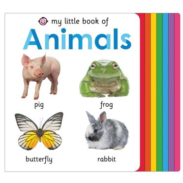 Hey, Seymour! (Hardcover) - Walmart.com