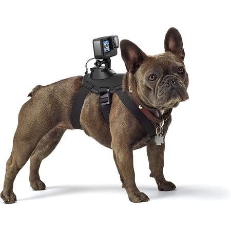 GoPro Fetch Dog Harness (GoPro Official Mount) - Walmart.ca