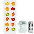 Drses‌‌ Home Decoration 10 Feet 30 LED Pumpkin Maple Leaf Lights ...