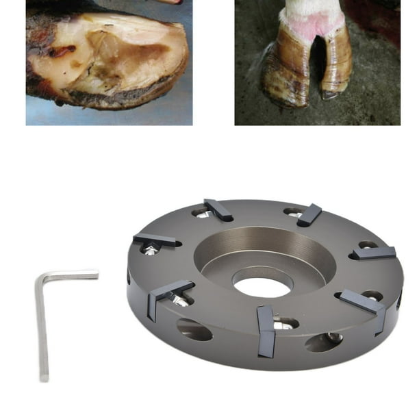 Hoof Trimming Plate, Durable Hoof Trimming Disc Incisive For Farm For ...