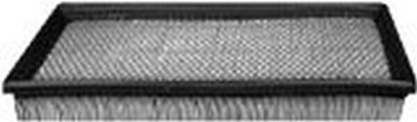 Hastings Filters - Air Element Af899 - Walmart.com