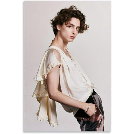 PHFZJYOU Timothee Chalamet Sexy Poster frameless Painting Canvas Wall Posters Art Picture Print ...