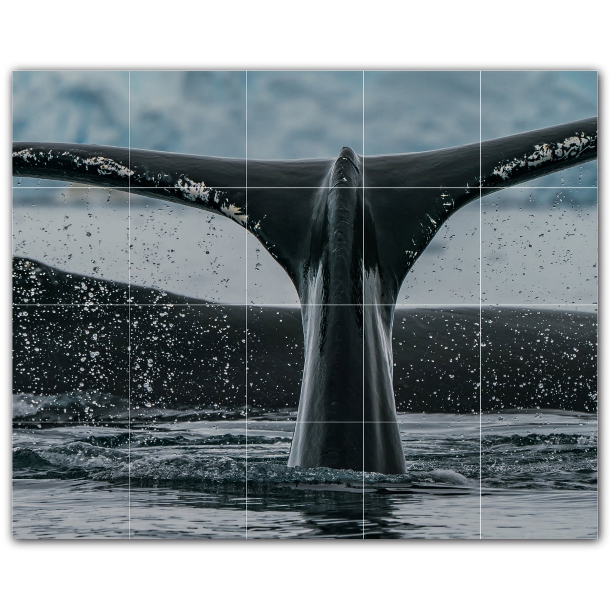 Picture-Tiles.com: Whale Ceramic Tile Wall Mural WAL501199-54XL. 60"W x ...