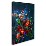 Trademark Fine Art 'Don't Be Sad Potion' Canvas Art by Dina Belenko ...