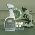 Spider Spray, Natural Spider Killer for Indoor and Outdoor | Plant ...