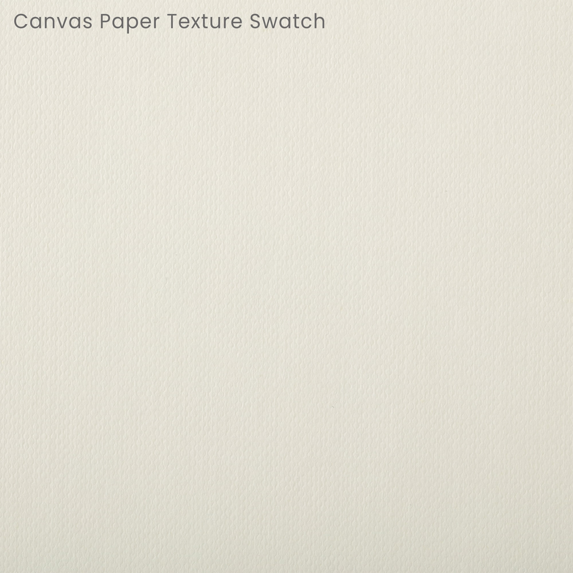 Canvas Paper Texture