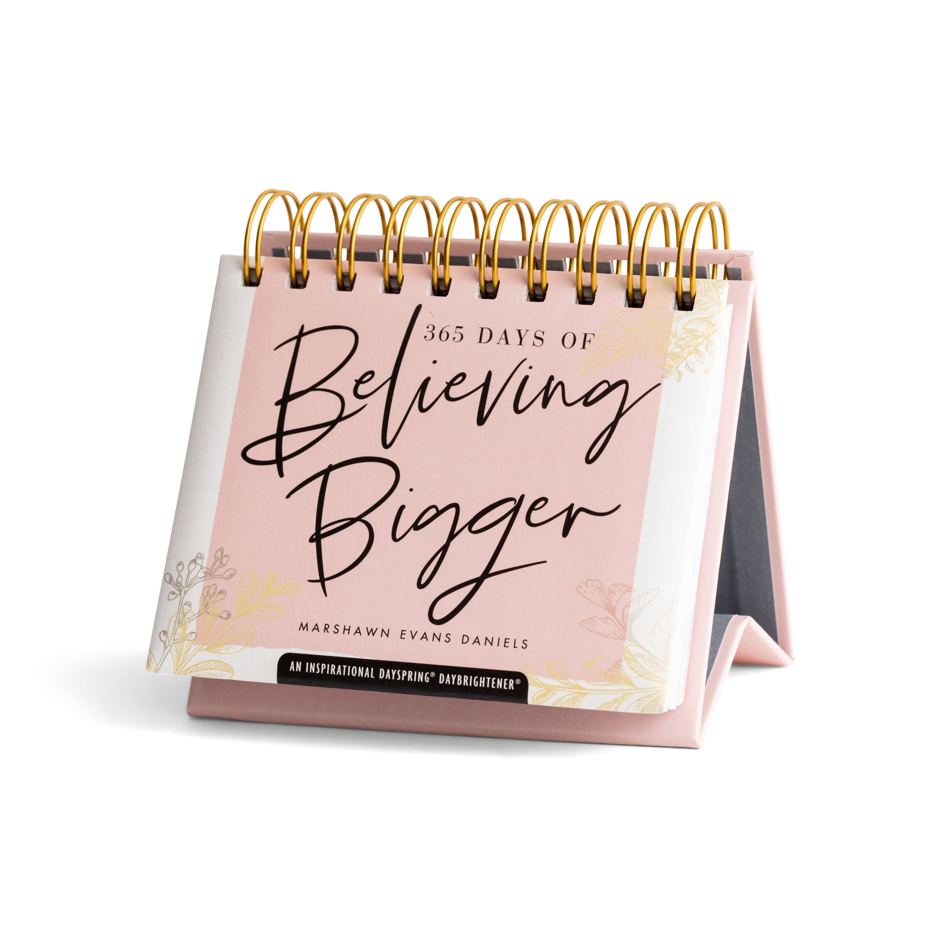 365 Days of Believing Bigger: Inspirational DaySpring DayBrightener ...