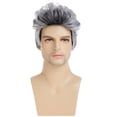 Men Wigs Short Gray Wig Synthetic Heat Resistant Natural Halloween ...