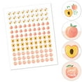 Big Dot of Happiness Sweet as a Peach - Fruit Themed Baby Shower or ...