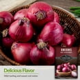 5 packs Burgundy Red Onion Seeds - Non-GMO Heirloom Full Sun Biennial ...