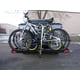 Tow Tuff 62 Inch Steel Cargo Carrier and Bike Rack, Fits 2 Inch ...