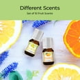 Fruity Fruits Good Essential Fragrance Oil Set Pack Of 10 5ml Set