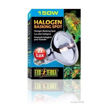 Exo Terra Sun-Glo Halogen Lamp 75w - Walmart.com