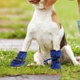 BESTYASH 3 Sets of Puppy Rain Boots Waterproof Red for Outdoor ...