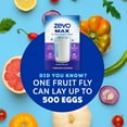 Zevo Max Flying Insect Trap, Fly Trap with 2 Refills - Walmart.com