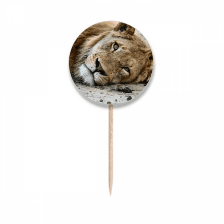 m Animal Lion Toothpick Flags Round Labels Party Decoration - Walmart.ca
