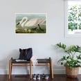 Art.com Common American Swan Giclee Print by John James Audubon, 36" x ...
