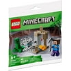 LEGO Minecraft Set: The Skeleton Battle Defense 30394 - Walmart.com