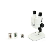 Celestron Labs S20 Stereo Microscope - Walmart.com