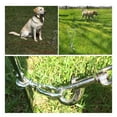 Everything You Need | Katzco Chrome Dog Stake With Leash Lead - Red 25 ...