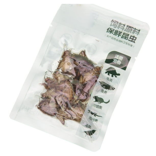 Crickets Foodfor Fish,Reptiles Crickets Food Natural Fish Crickets Food ...