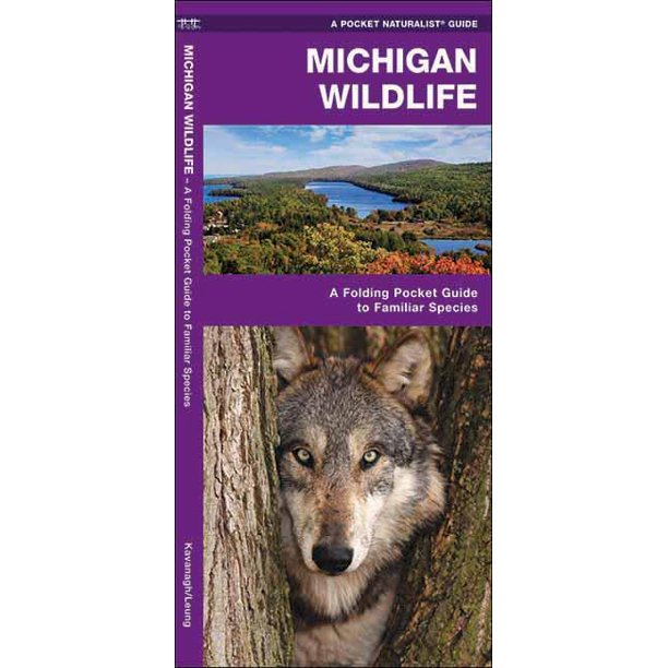 Pocket Naturalist Guides: Michigan Wildlife: A Folding Pocket Guide to ...