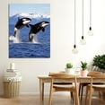 AVOI Killer Whale Poster orca Poster Wall Art Decor Poster Canvas ...