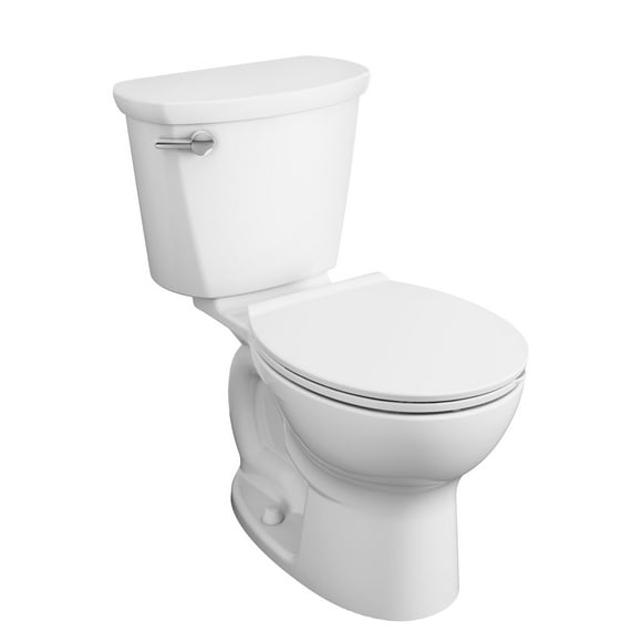 10 Inch Rough Toilet