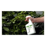 Bobbex 32 oz. Ready to Use Deer and Plants Deterrent Spray - Walmart.com