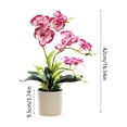 Artificial Phalaenopsis Silk Flower - Realistic Desktop Decoration ...