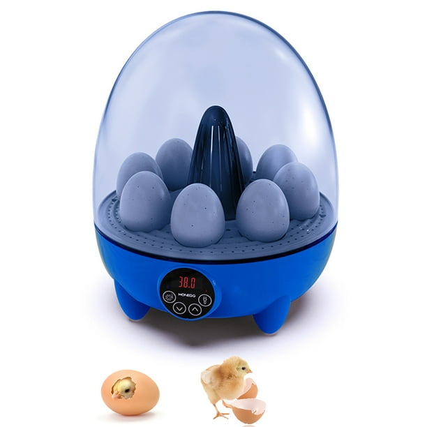 Incubators for Hatching Eggs 8 Egg Incubator with LED Light Temperature ...