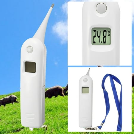 Animal Digital Veterinary Thermometer For Pet Livestock Rectally DC 3V ...