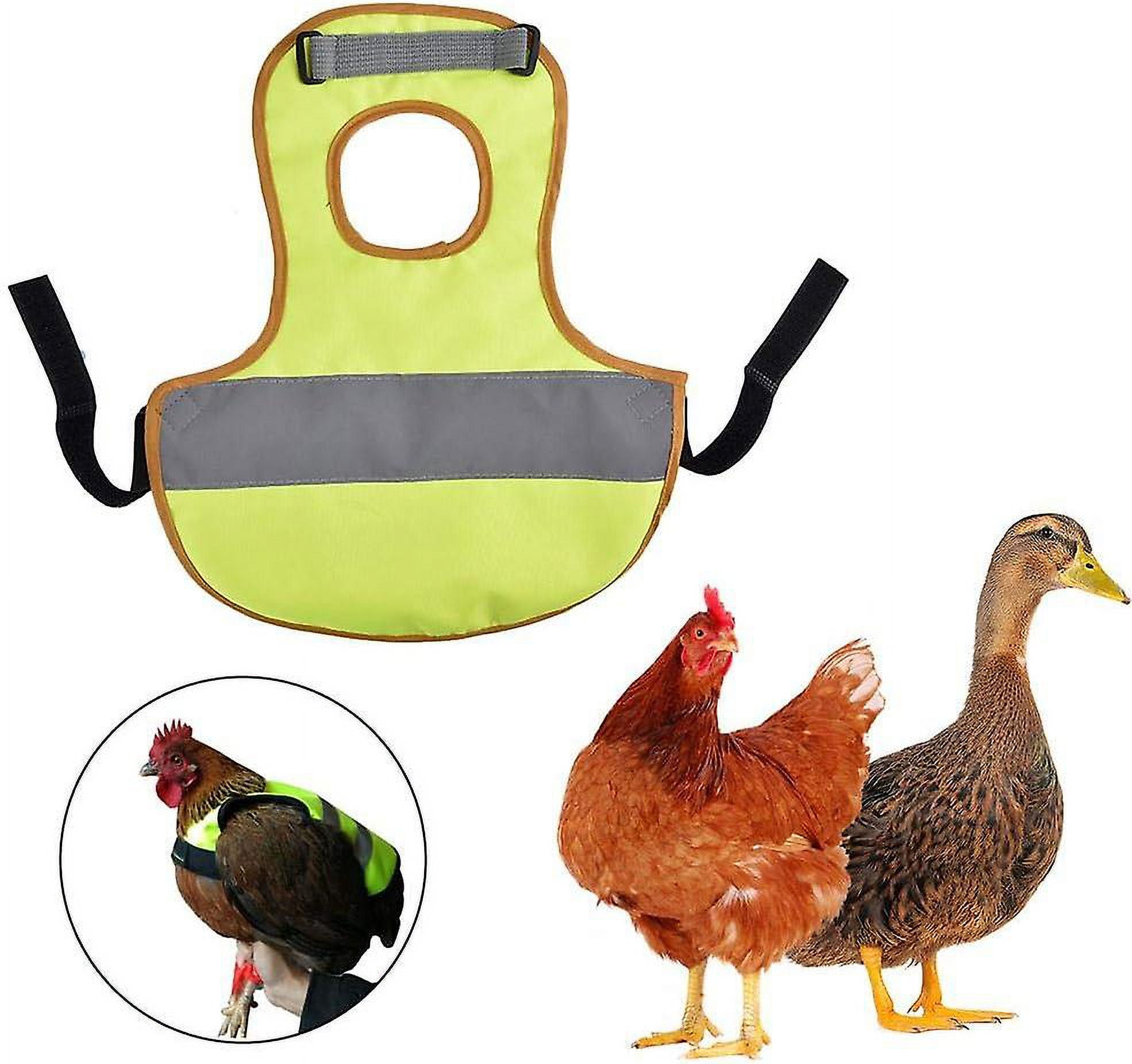 Signal Vest for Chickens,Chicken Duck Harness,Chicken Reflective Vest ...