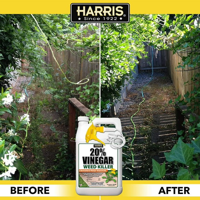 Eliminator Weed Grass Killer II Super Concentrate, 47% OFF