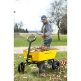 Gorilla Carts 8 Cu. Ft. Steel Dump Cart (Model #Gcsd-8), 39-inch x 28-inch Steel Bed, 1200 lbs ...