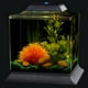 KollerCraft 1.5-Gallon Betta Fish Aquarium Kit - Walmart.com
