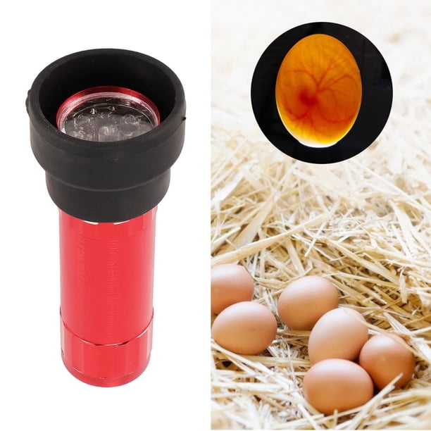 Egg Candling Light, No Heat Damage 3PCS Egg Candler Tester for ...