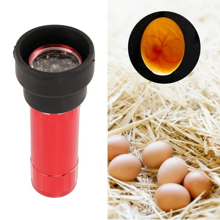 Egg Candling Light, No Heat Damage 3PCS Egg Candler Tester for ...