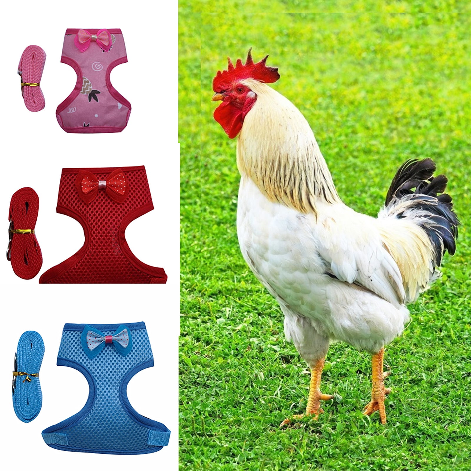Visland Adjustable Chicken Harness with Leash and Matching Belt ...