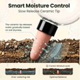 2 Pack 19oz Large Self Watering Globes for Plants - No-Leak Clear ...