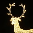 LuxenHome Outdoor Christmas Reindeer Decor, Lighted Holiday Yard ...