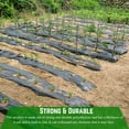 Farm Plastic Supply - Weed Control 4 Mil Black Plastic Sheeting - Heavy ...