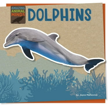 Amazing Animal Adaptations: Ocean Animal Adaptations (Paperback ...