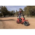 Coleman Powersports B100 105cc Gas Powered Mini Bike, 22 MPH, Red ...