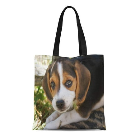 NUDECOR Canvas Tote Bag Beagle Dogs Beagles Puppy Puppies Pets Family ...