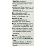 Armstrong Pharm Primatene Mist Epinephrine Inhalation Aerosol, 11.7 g ...