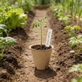 100lots Decomposable Nursery Containers Biodegradables Seedling Peat ...