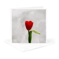 3drose, Single Red Tulip, Green Leaf, Textured Artistic Background, 6 ...